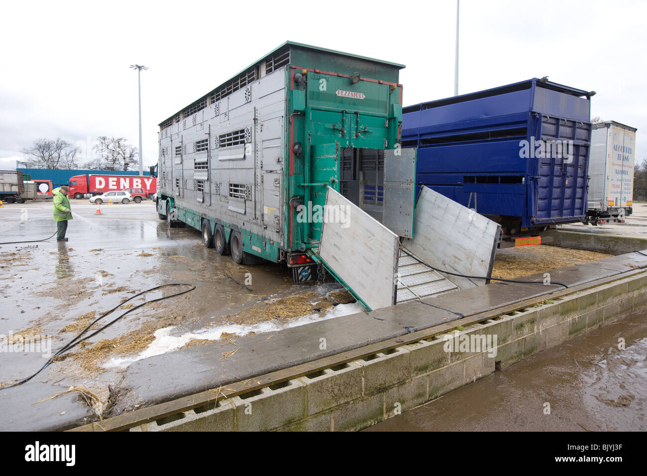 Livestock Lorry High Resolution Stock Photography and Images - Alamy