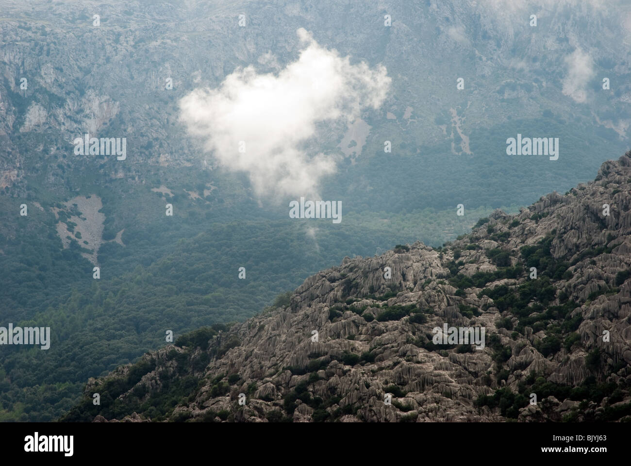 Limestone rock formations Majorca Stock Photo - Alamy