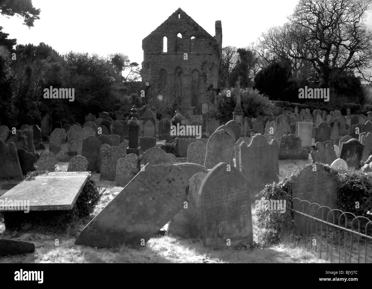 Greyabbey graveyard hi-res stock photography and images - Alamy