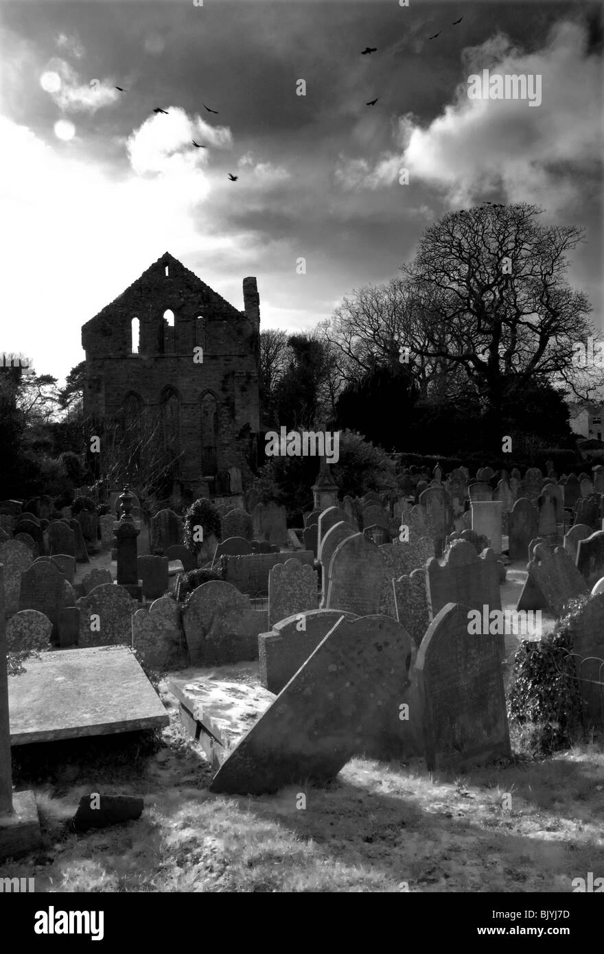Greyabbey graveyard hi-res stock photography and images - Alamy