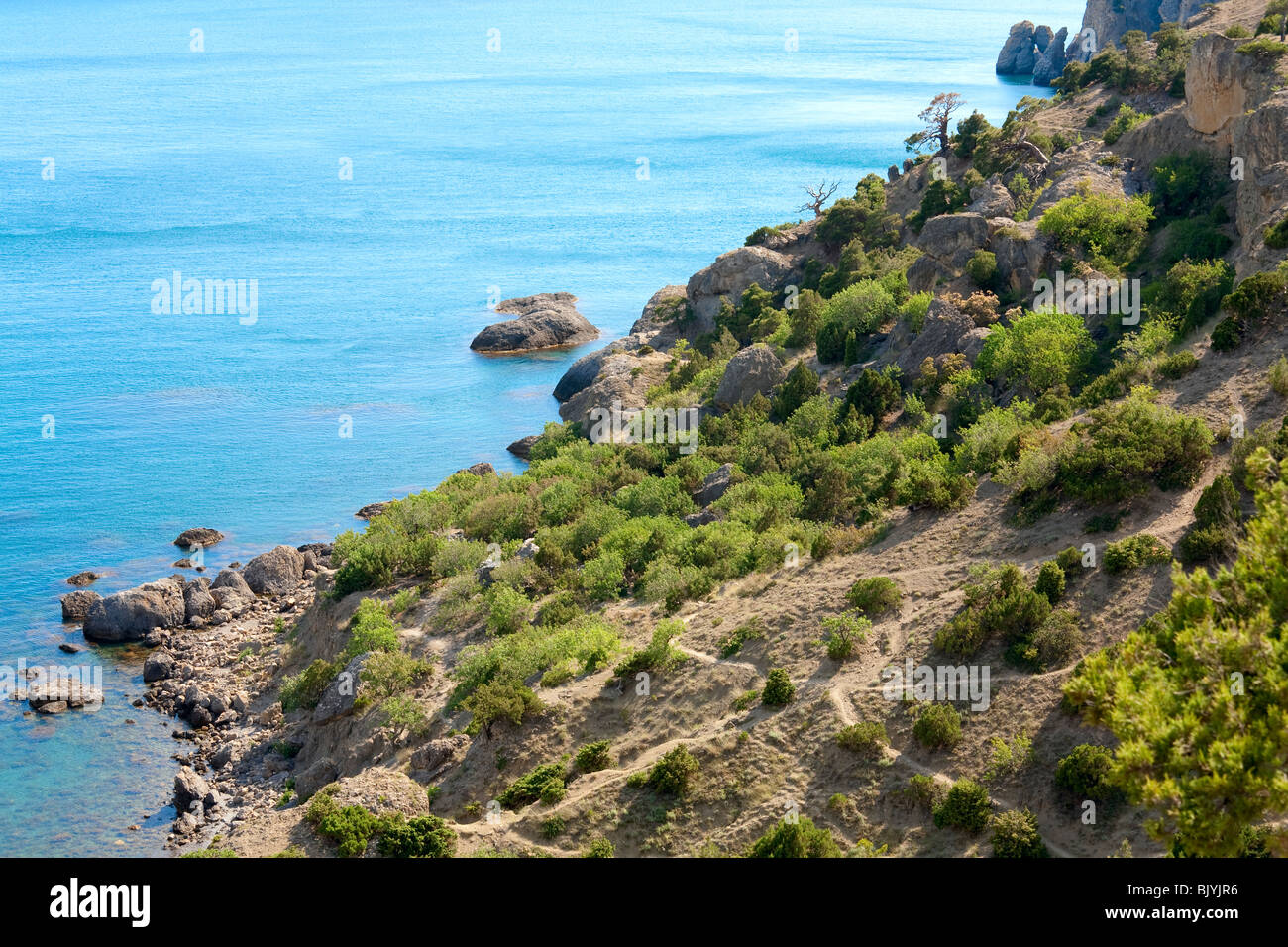 rocky coastline with juniper and pine trees ("Novyj Svit" reserve ...