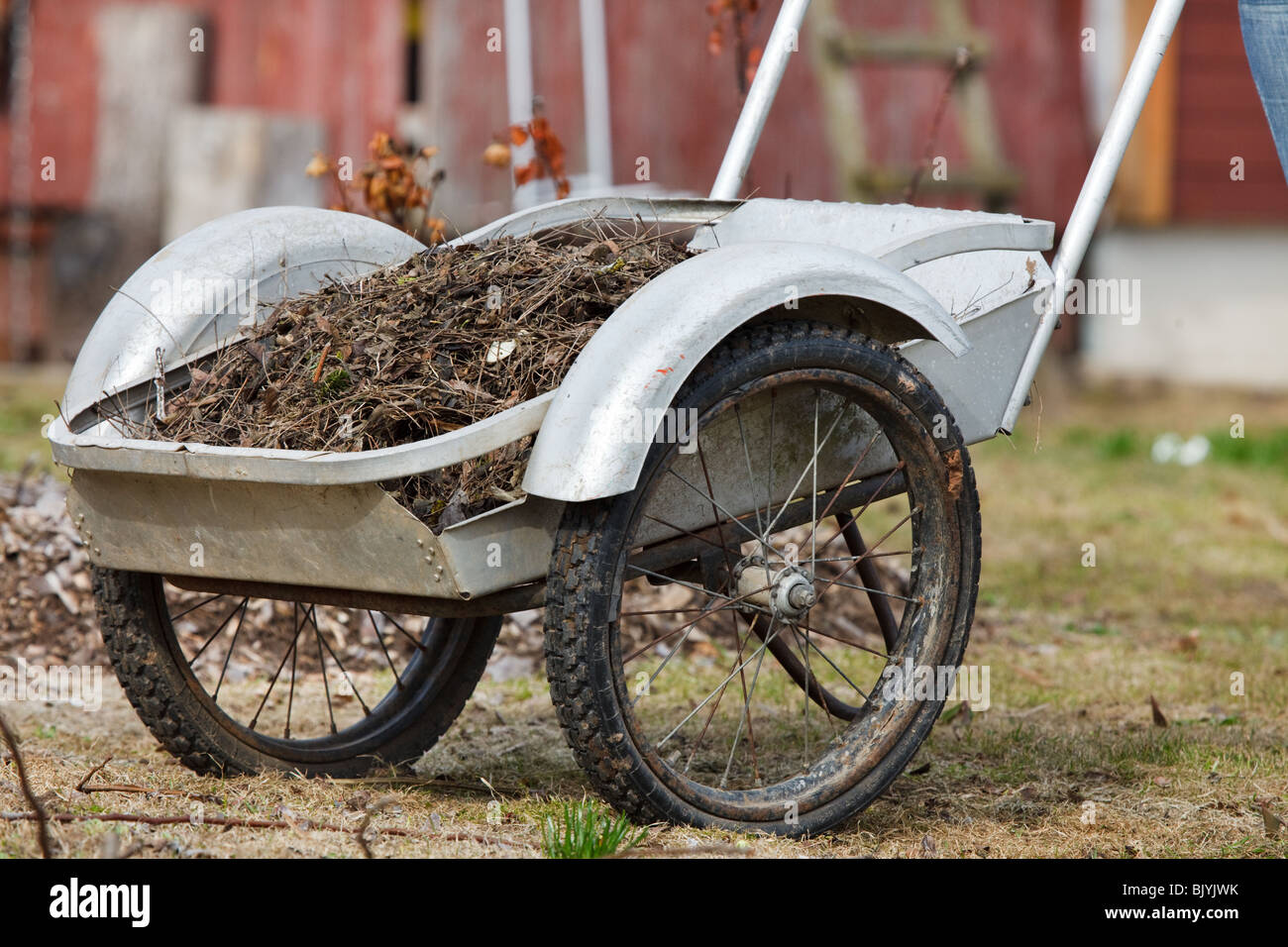 Garden barrow full of old leaves and branches Stock Photo - Alamy