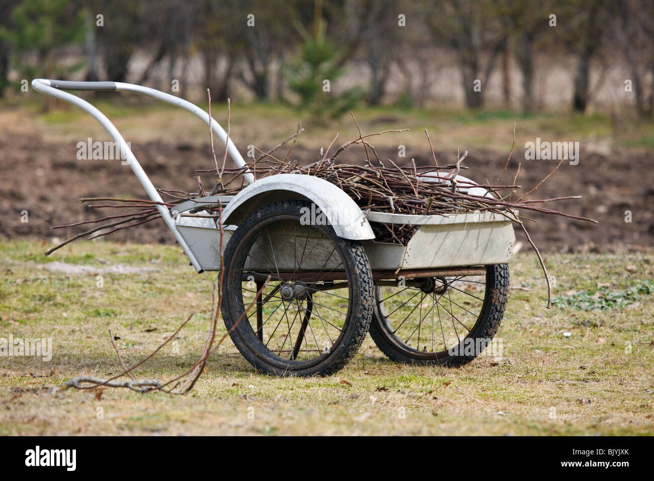 Garden barrow full of old leaves and branches Stock Photo - Alamy