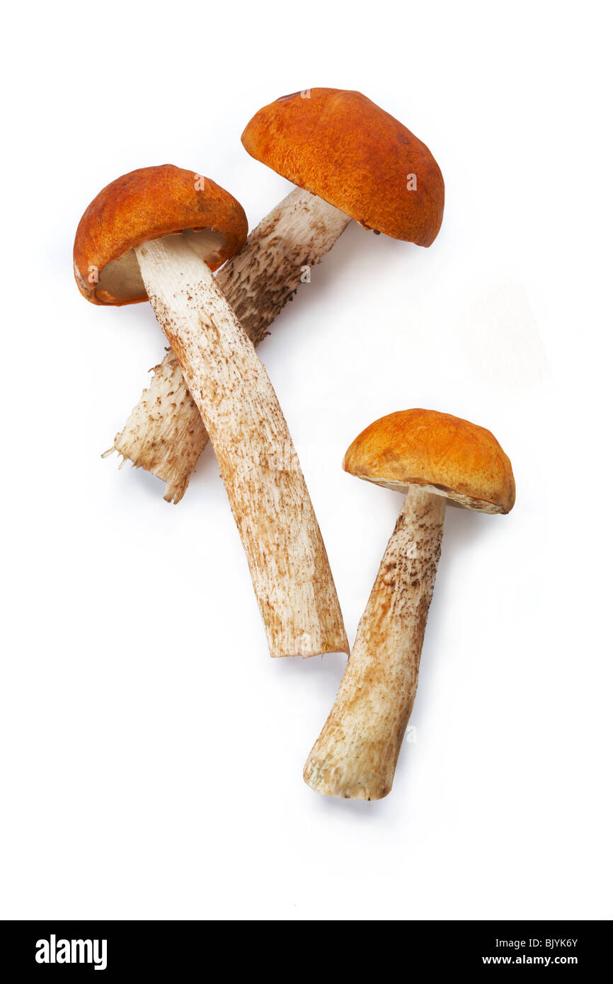 Group includes Cut Out Stock Images & Pictures - Alamy