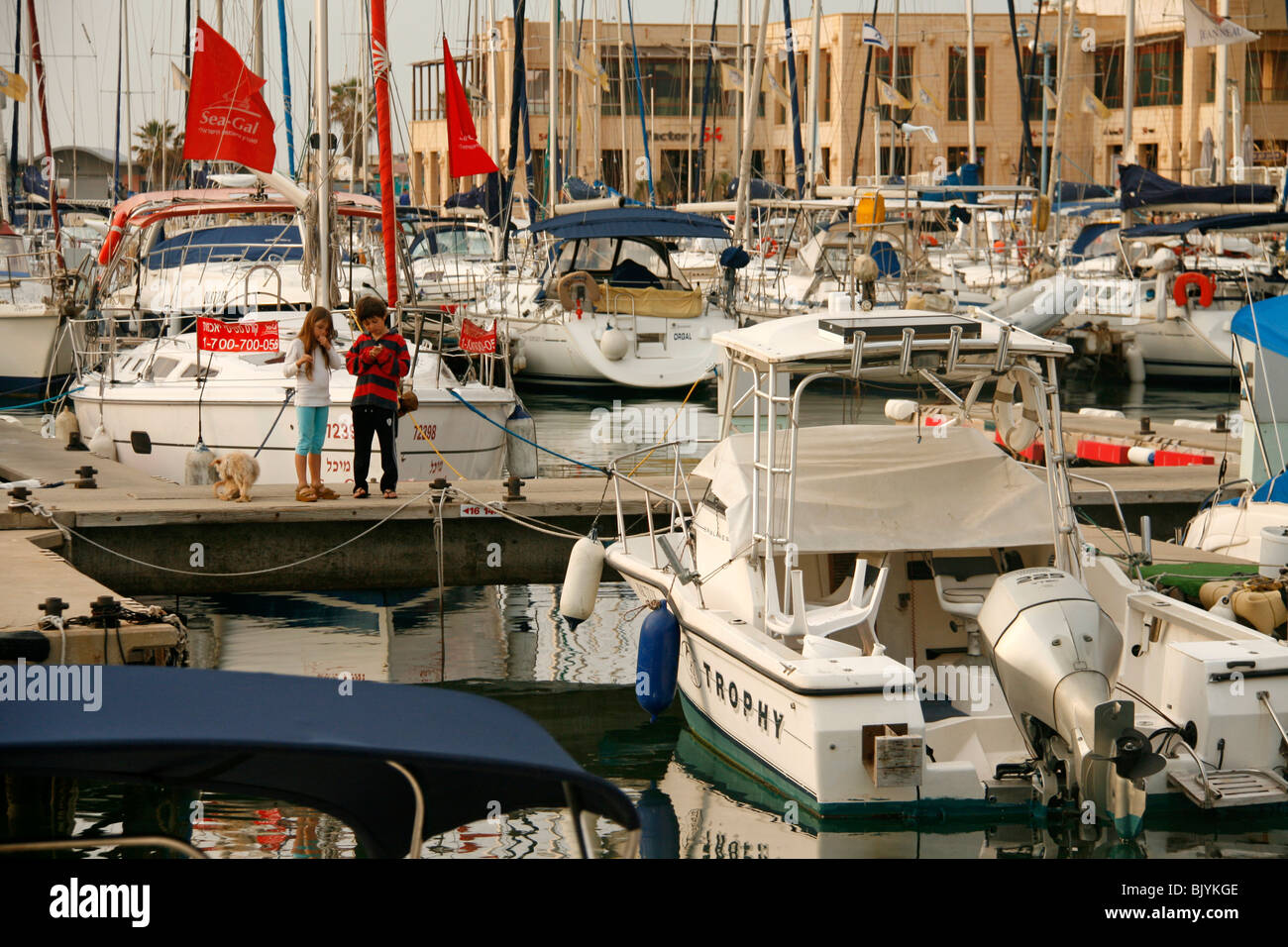 Yahts in Harbour.Hertzelia Israel Stock Photo - Alamy