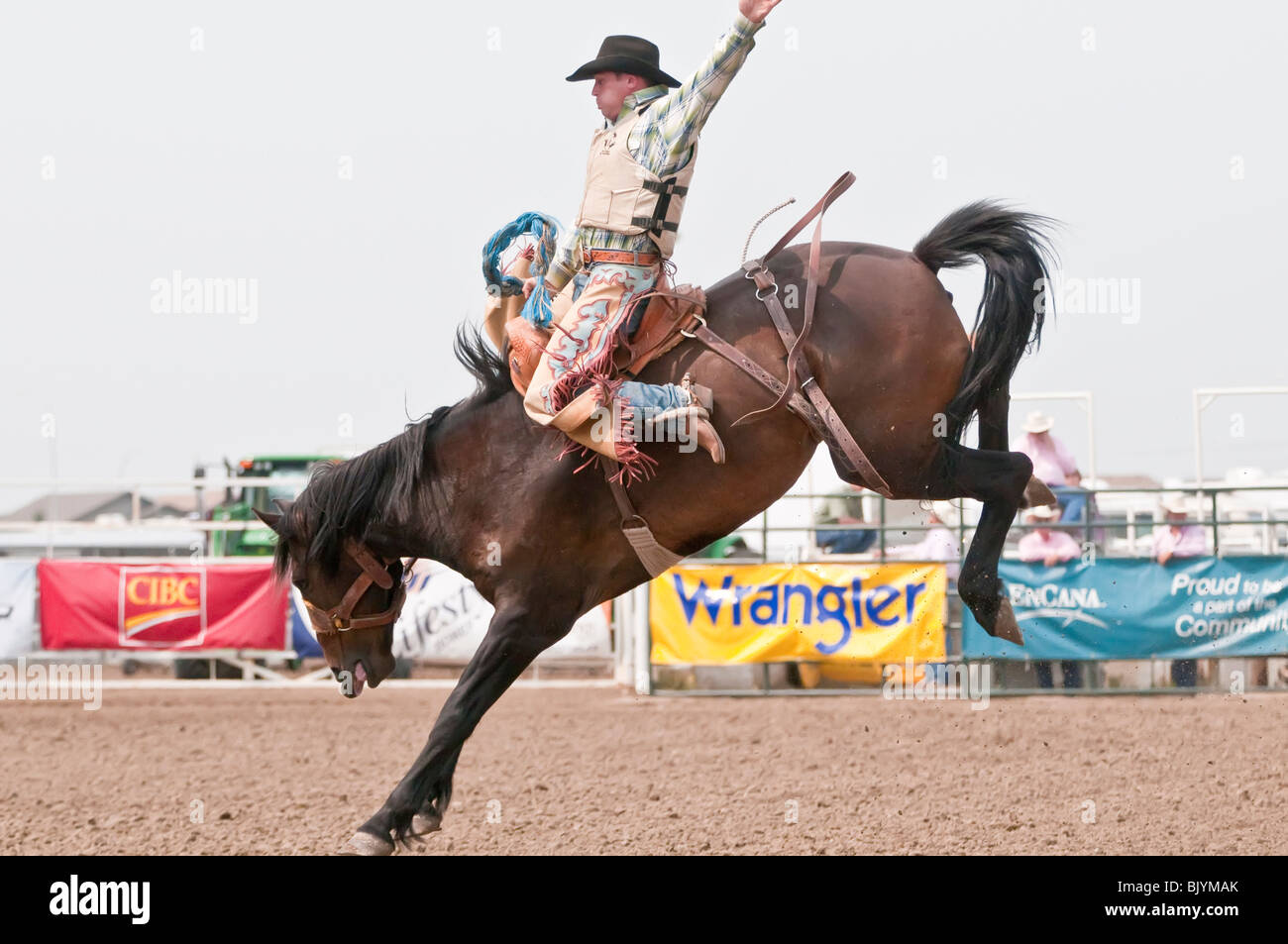 Cowboy, saddle bronc riding, Strathmore Heritage Days, Rodeo ...