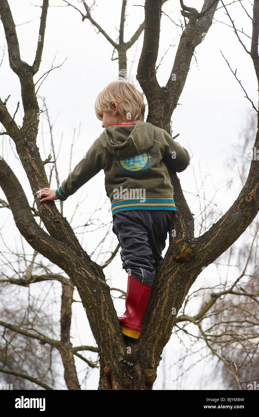 Child Blond Boy hanging on a branch of a tree Stock Photo - Alamy