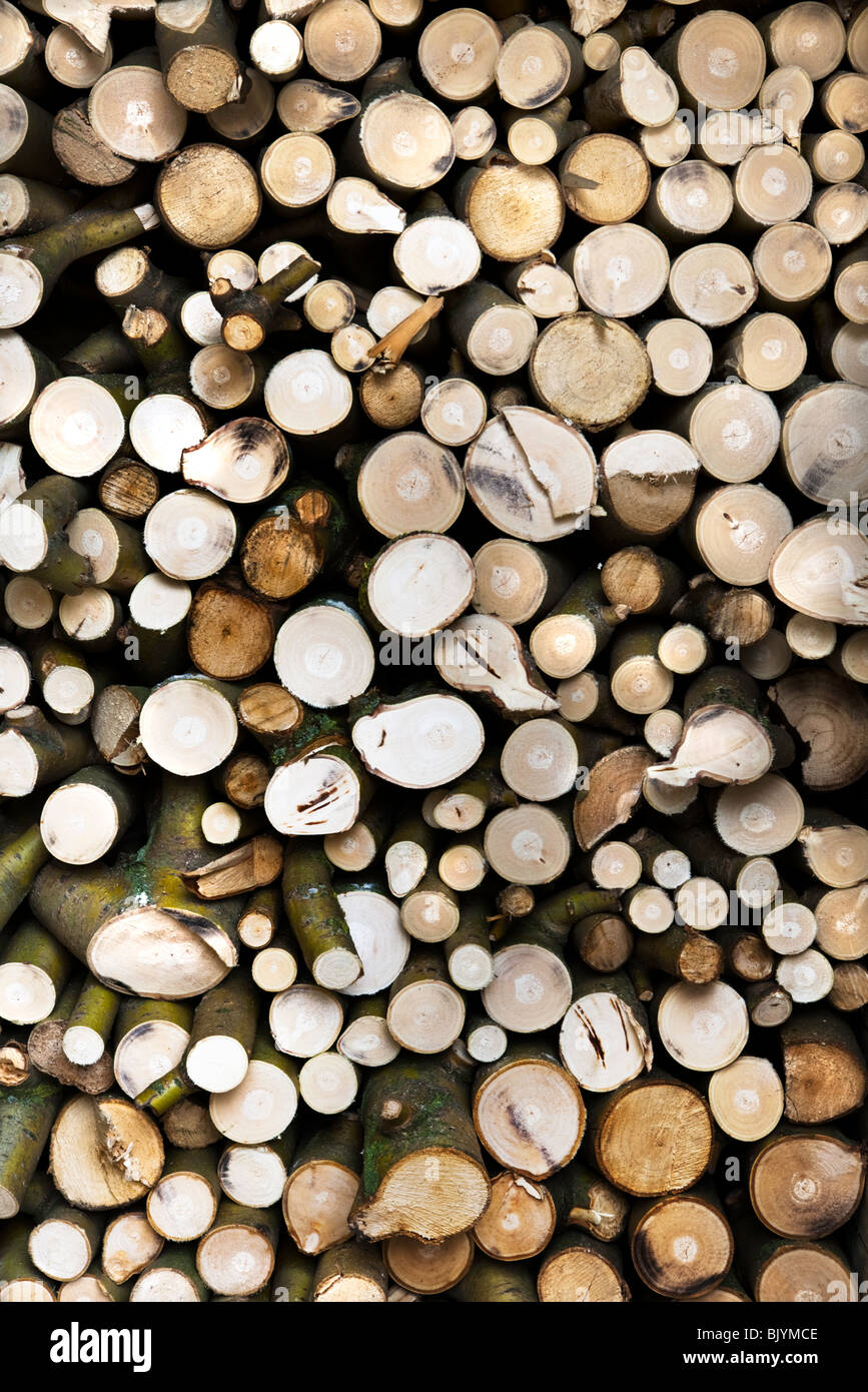 chopped wood pile Stock Photo - Alamy