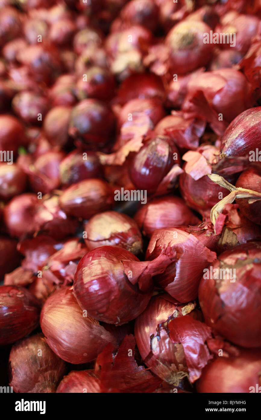 Red Onions, stacked at market. Solid onions, with skins in bin at ...