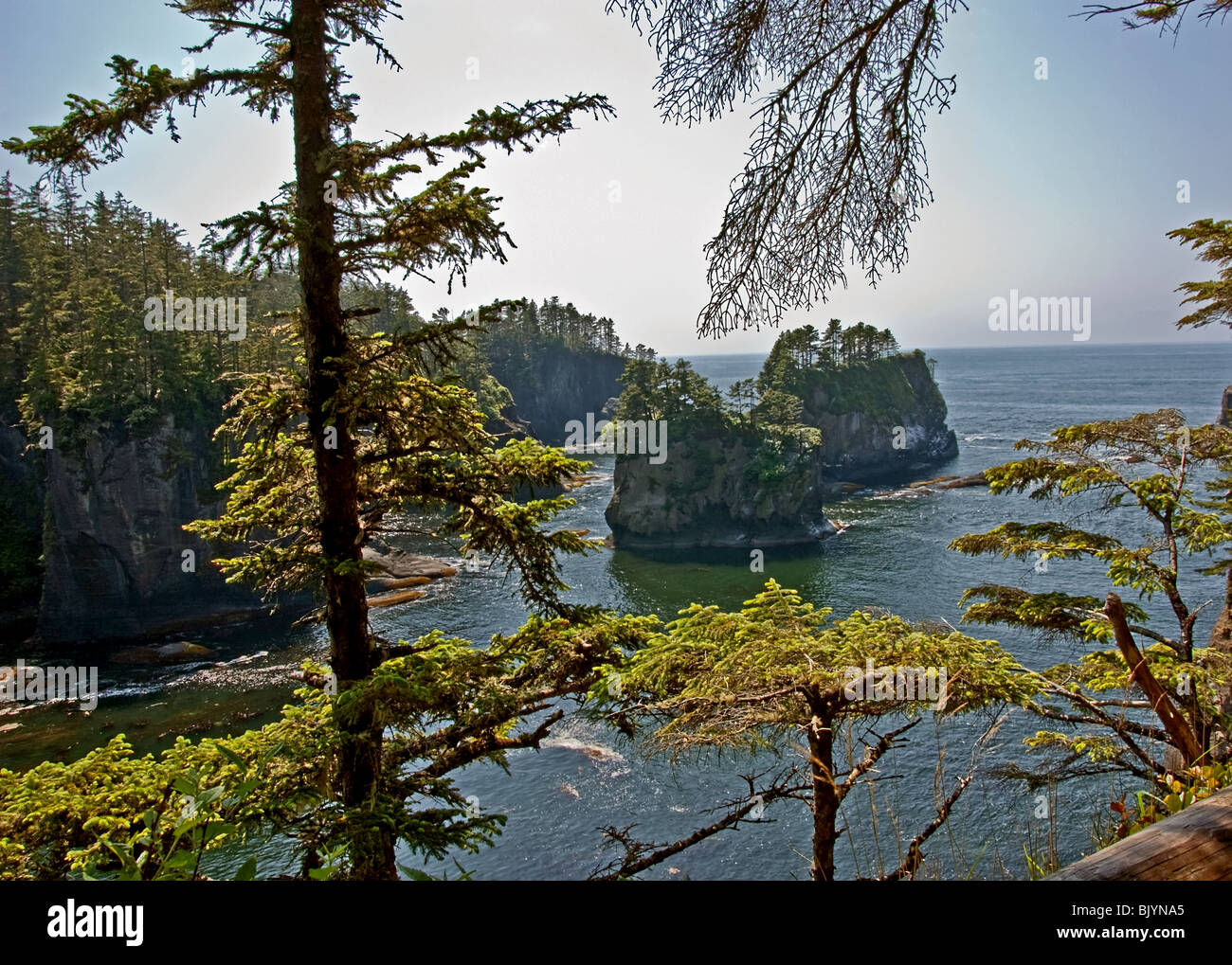 Cape flattery washington hi-res stock photography and images - Alamy