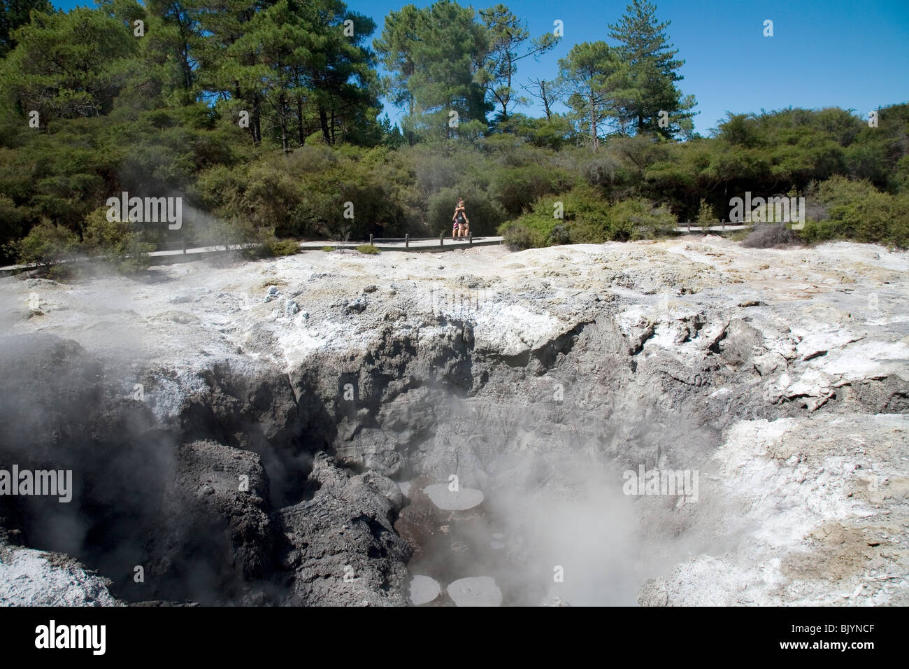 Steaming mudpools at Wai-O-Tapu Thermal Wonderland located between ...