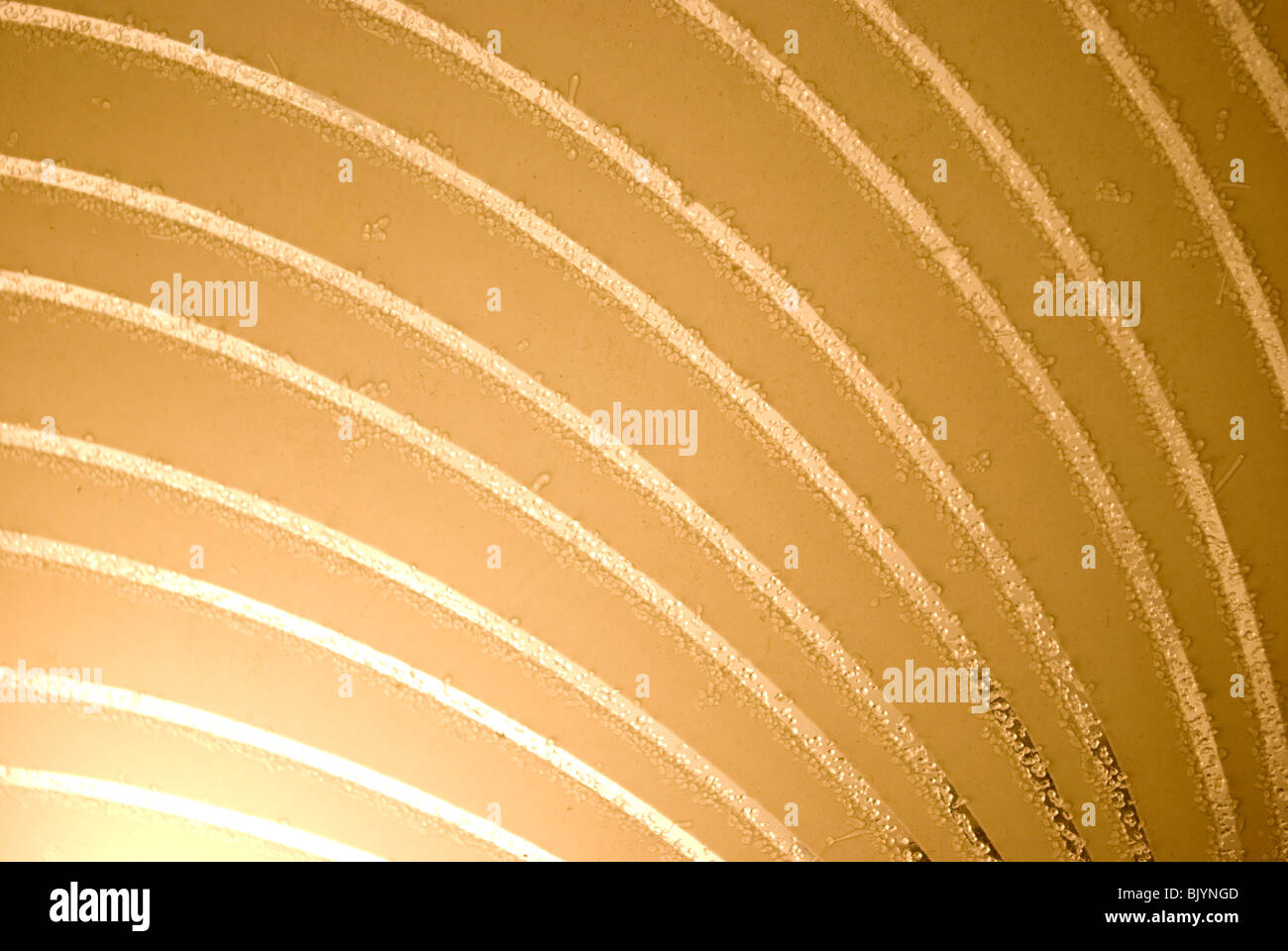 Concentric bands of green and clear, beaded, glass from a hanging ...