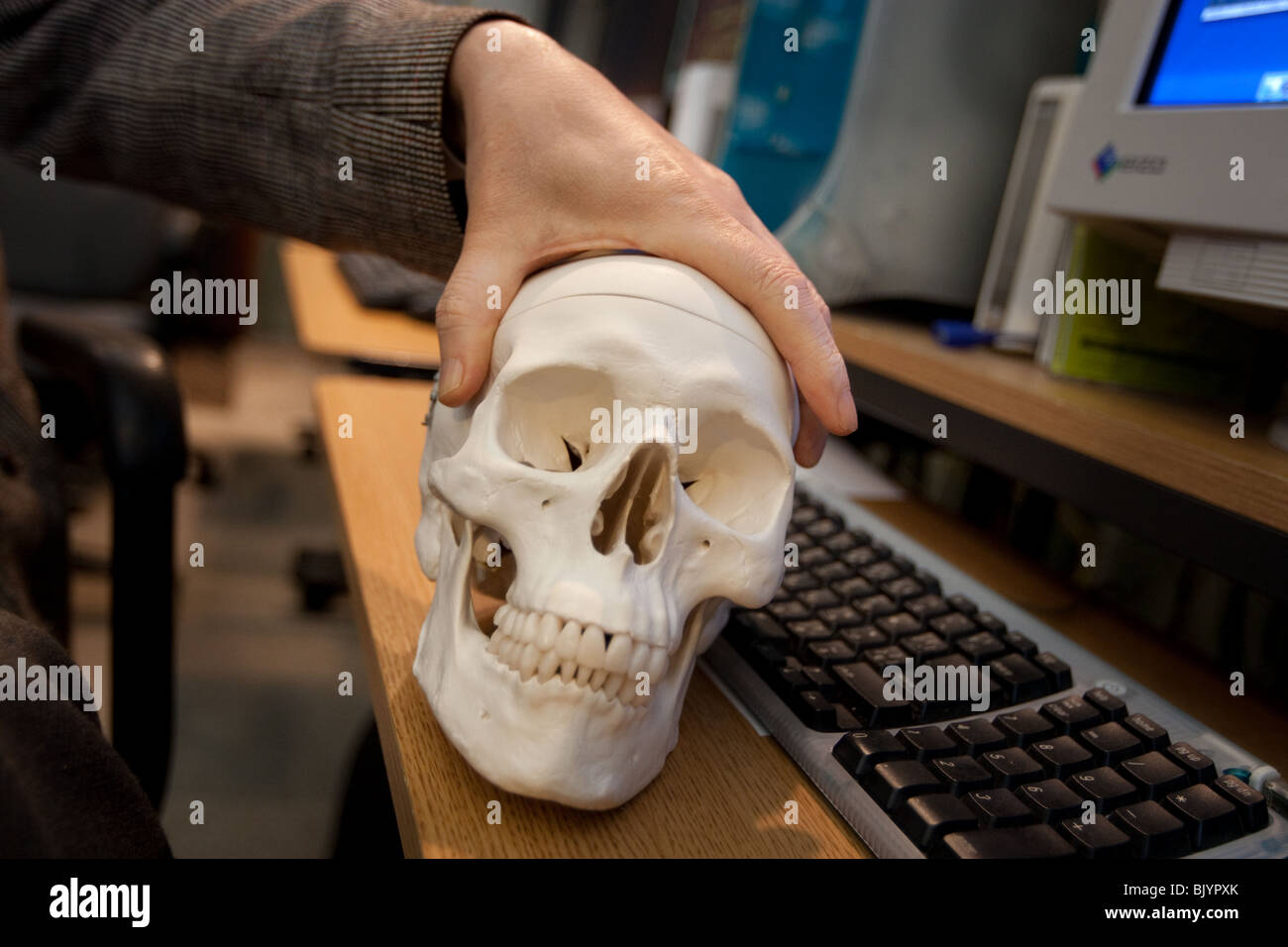 skull and computer keyboard Stock Photo - Alamy