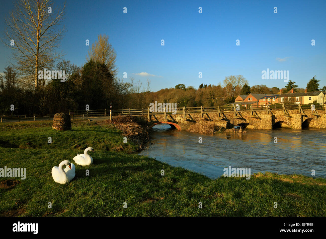 Tilford village hi-res stock photography and images - Alamy
