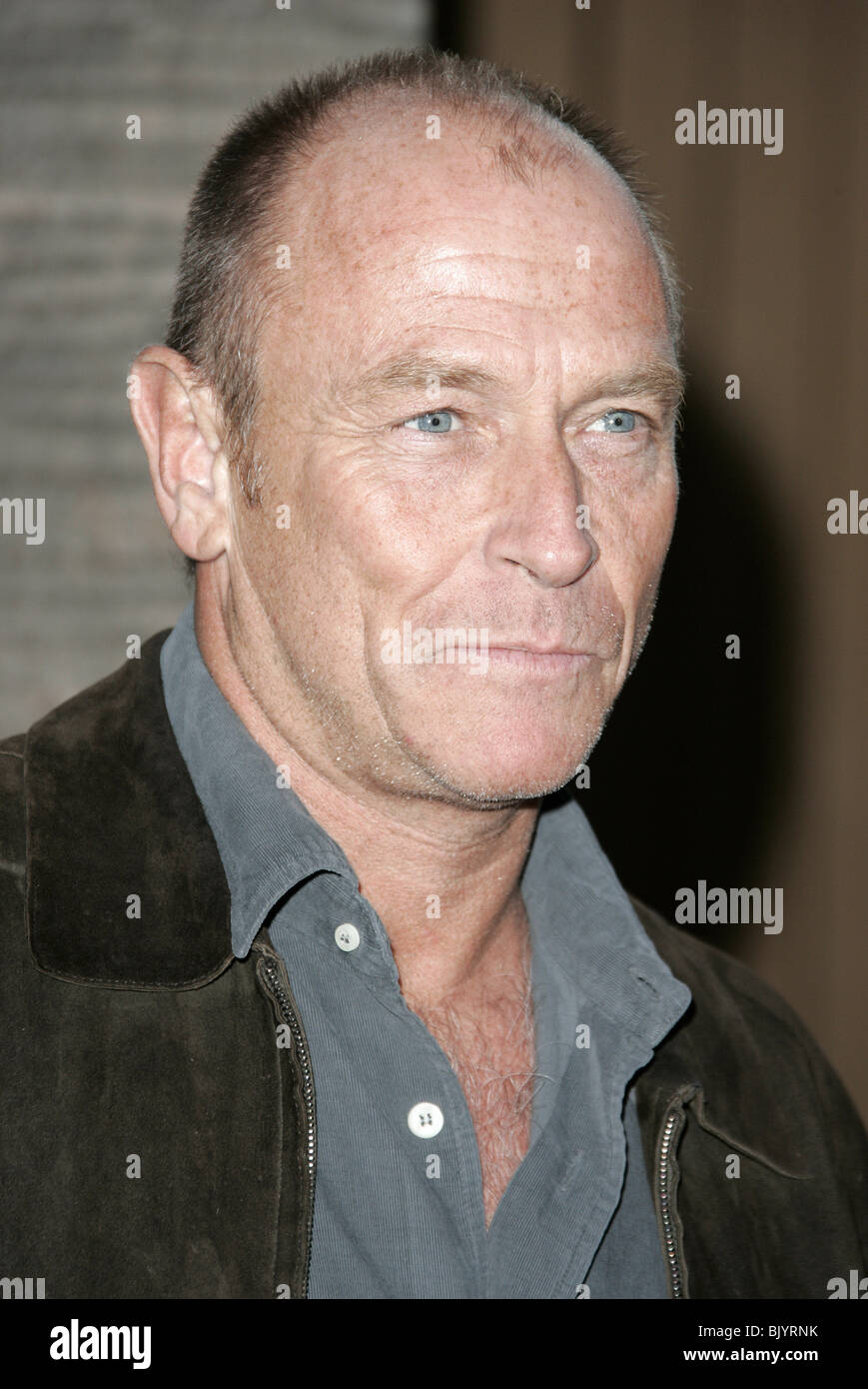 Corbin Bernsen Hair