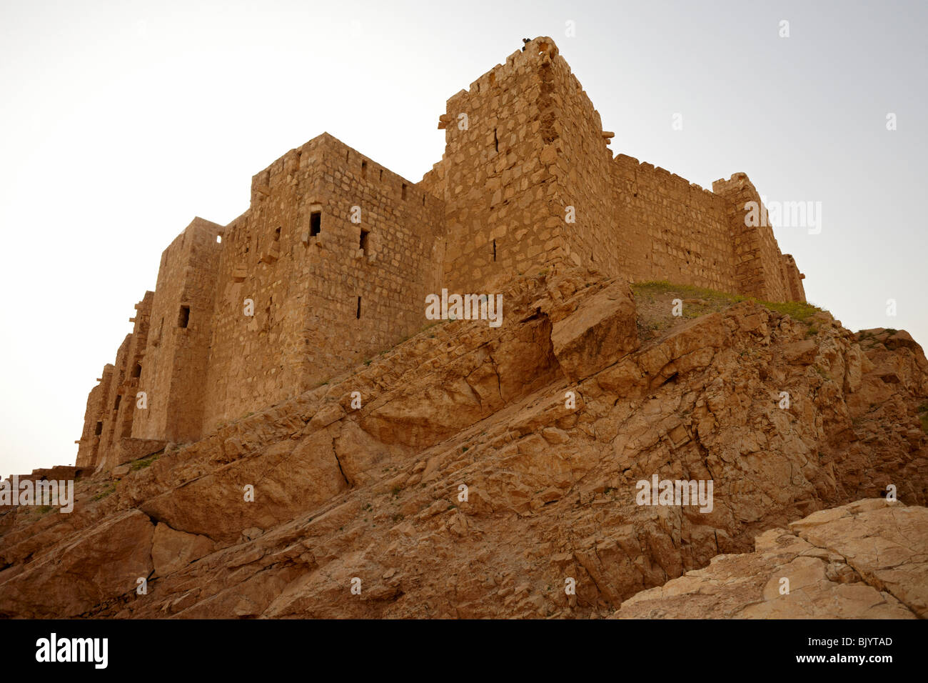 Palmyra Syria the arab castle Stock Photo - Alamy