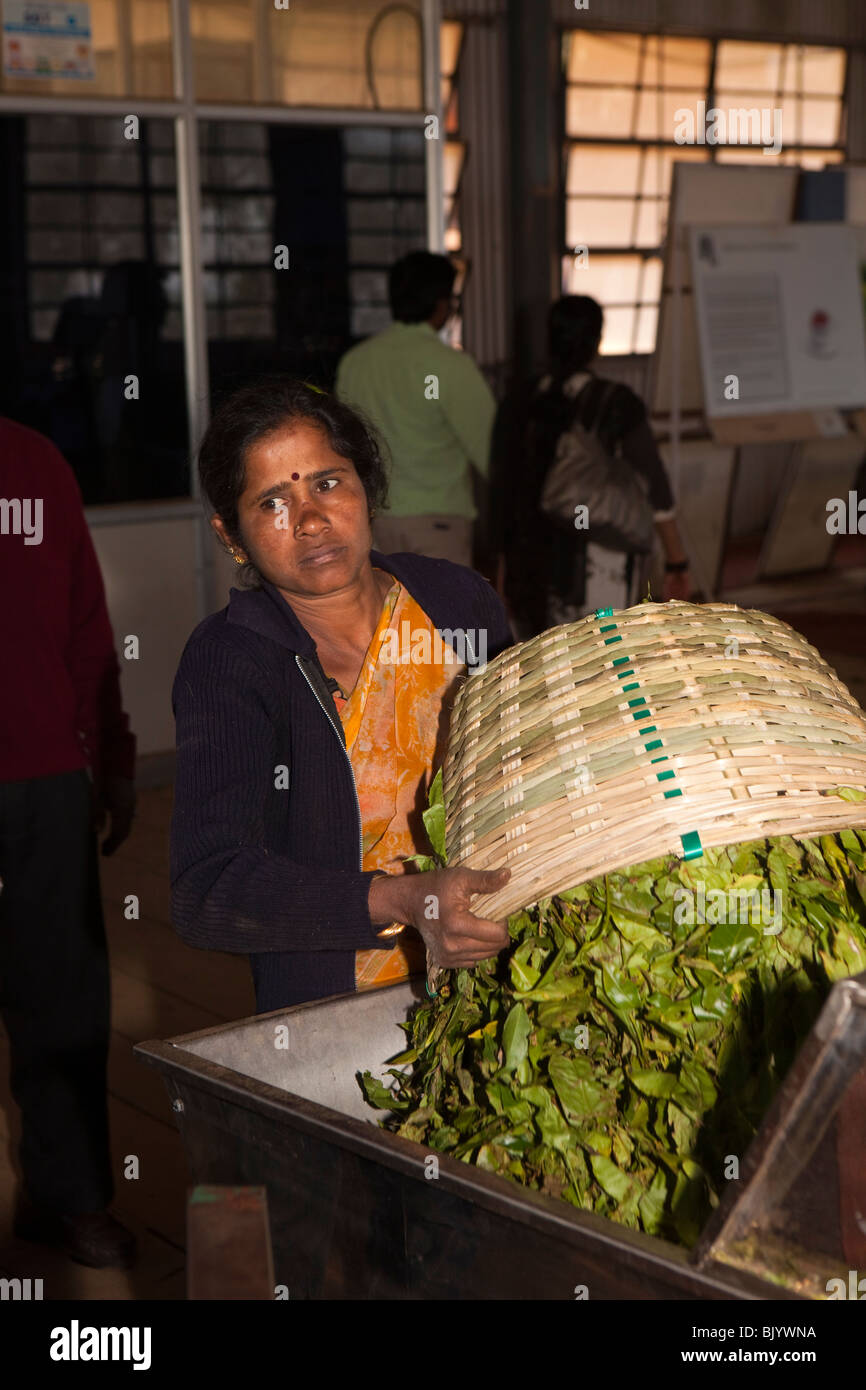 Doddabetta ooty hi-res stock photography and images - Alamy