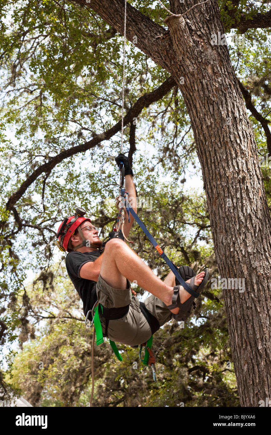 Caver training for ropework in tree Texas USA Stock Photo - Alamy