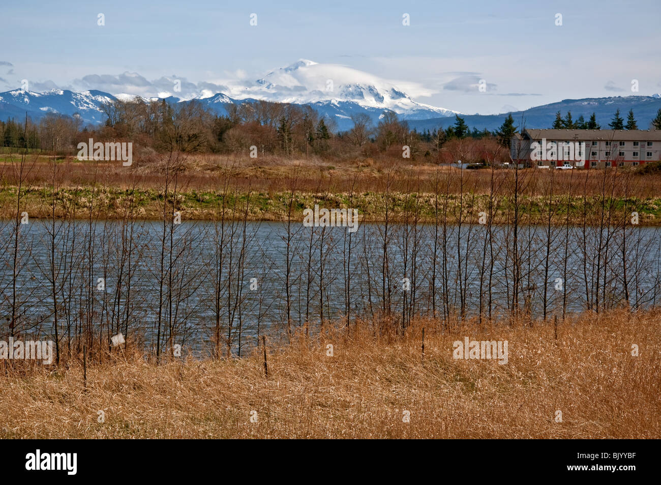 Washington wetland pond ducks hi-res stock photography and images - Alamy