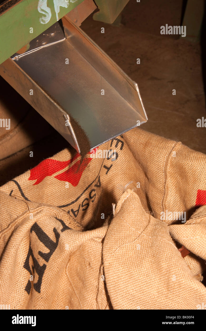 Leaf hopper of india hi-res stock photography and images - Alamy