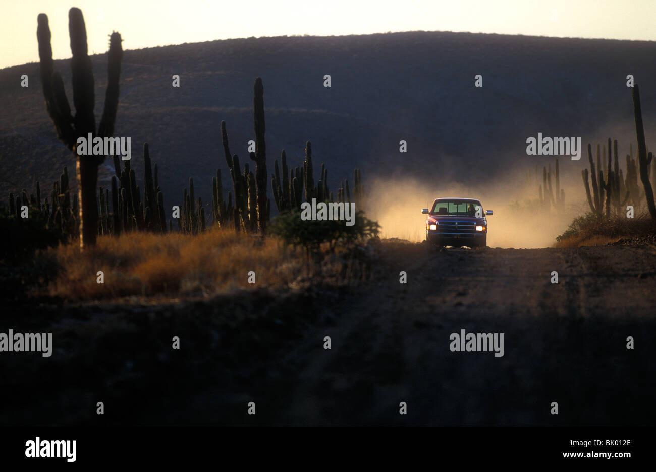 Pick up truck driving on dirt road in the desert . Baja California ...