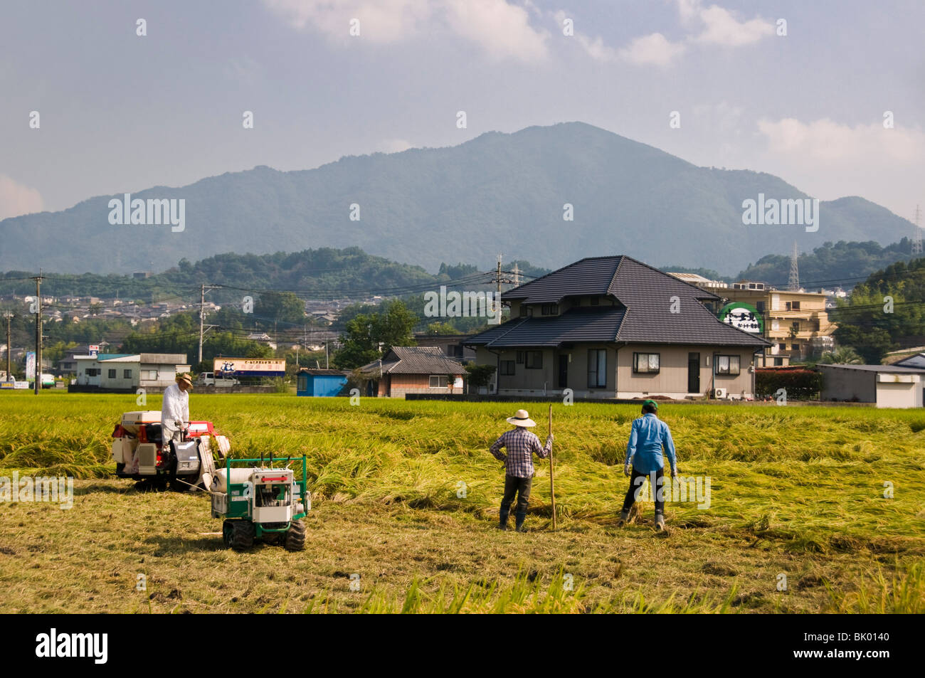 Harvesting rice by machine, near Oita city. Kyushu, Japan Stock Photo ...