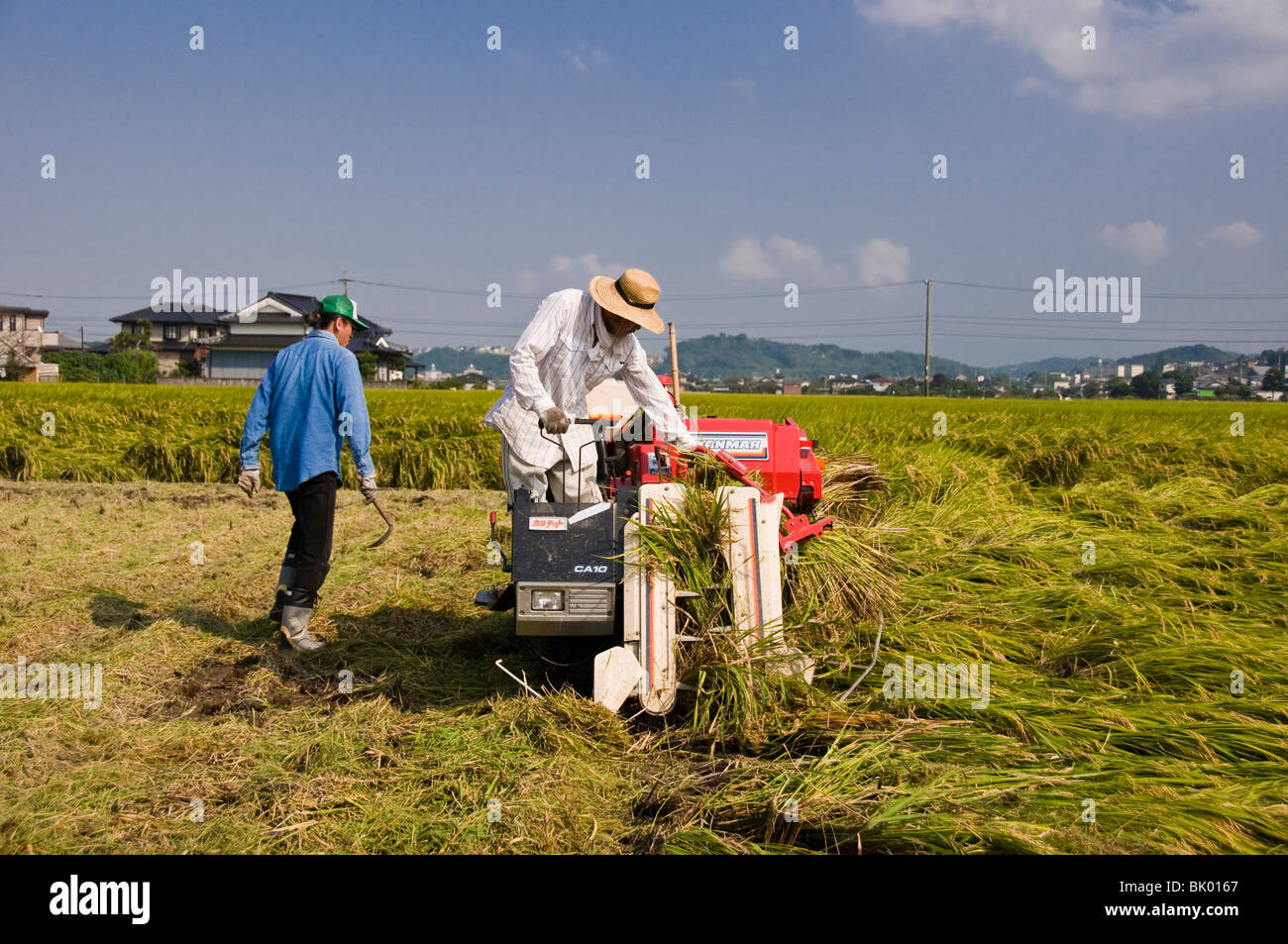 Harvesting rice by machine, near Oita city. Kyushu, Japan Stock Photo ...