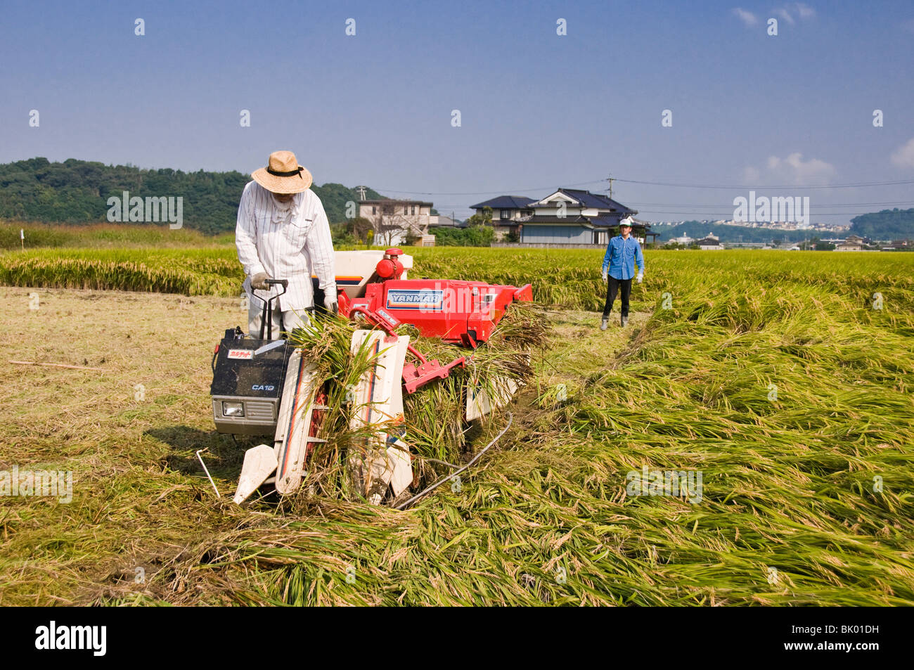Harvesting rice by machine, near Oita city. Kyushu, Japan Stock Photo ...