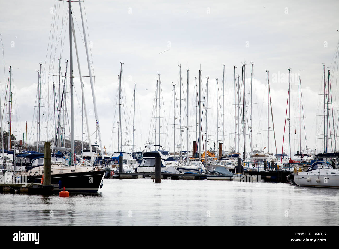 Yachts in Lymington Marina Stock Photo - Alamy