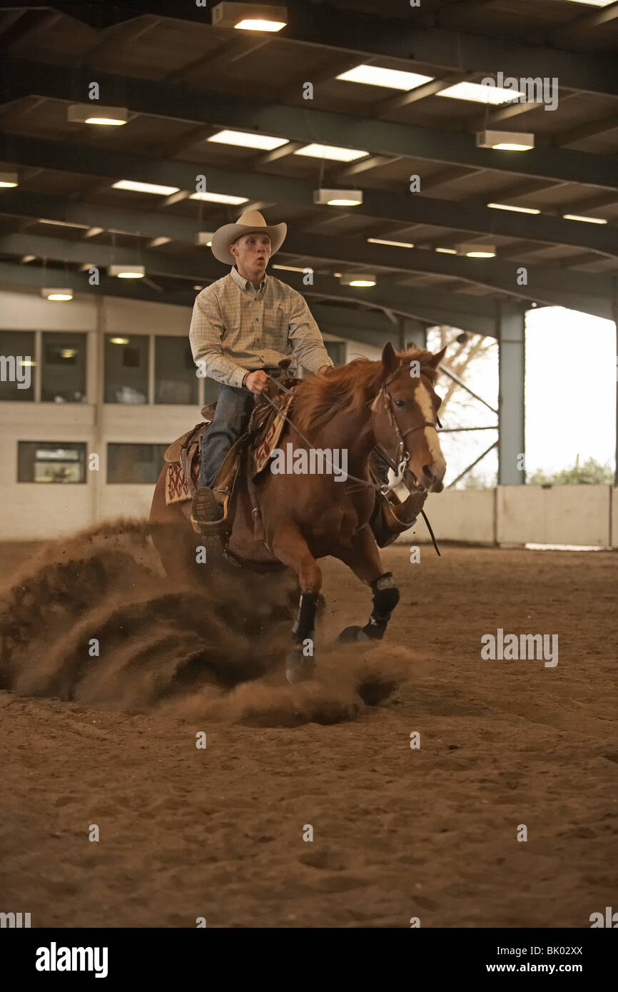 Reining hi-res stock photography and images - Alamy