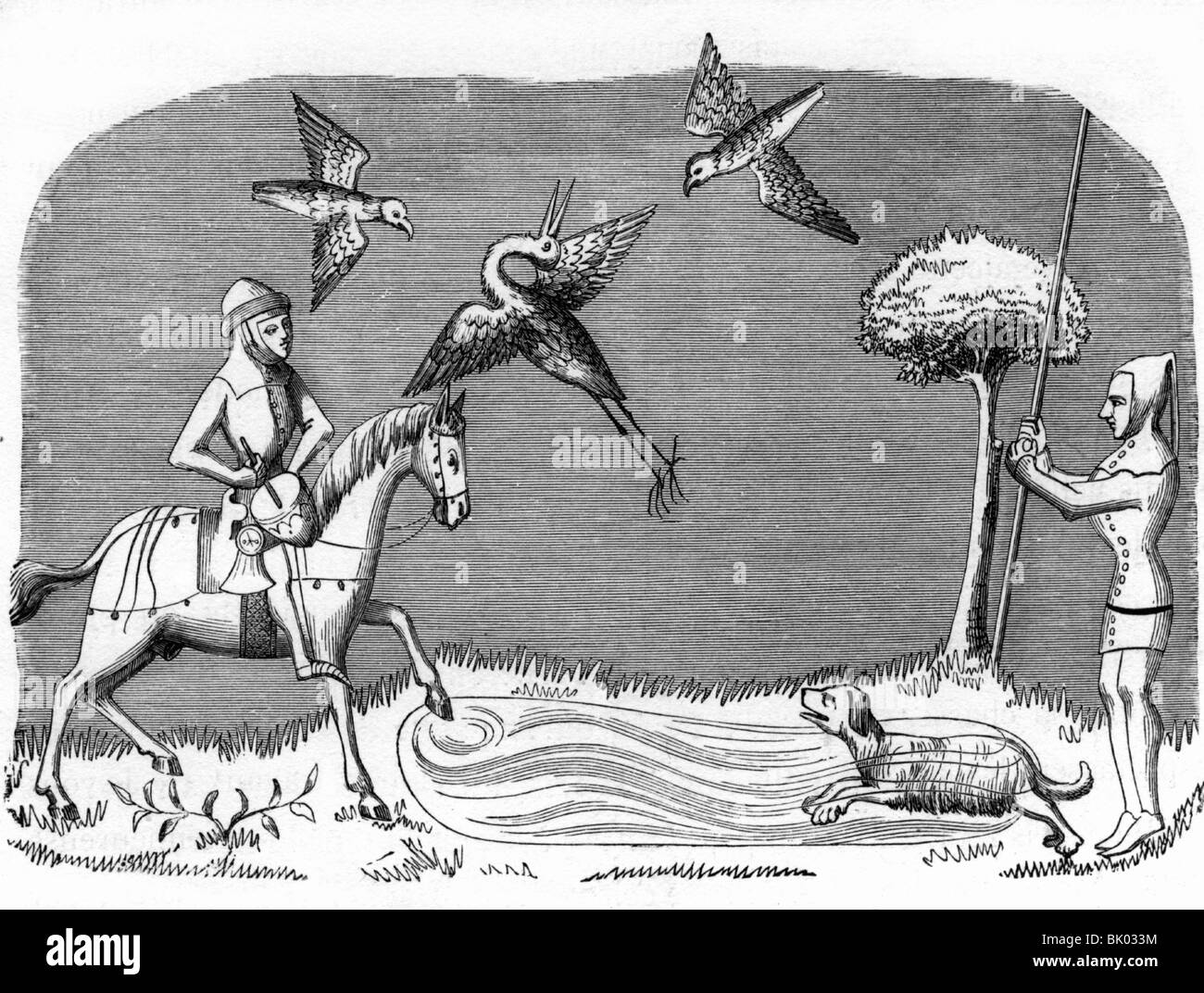 Medieval hunting bird hi-res stock photography and images - Alamy