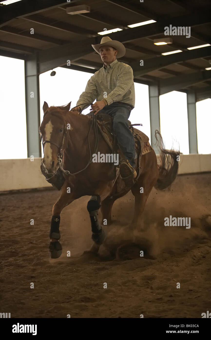 Reining hi-res stock photography and images - Alamy