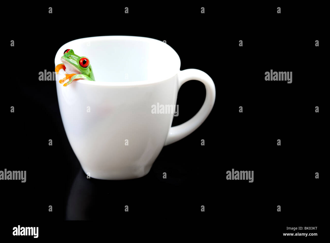 Red eyed tree frog sitting on white cup Stock Photo - Alamy