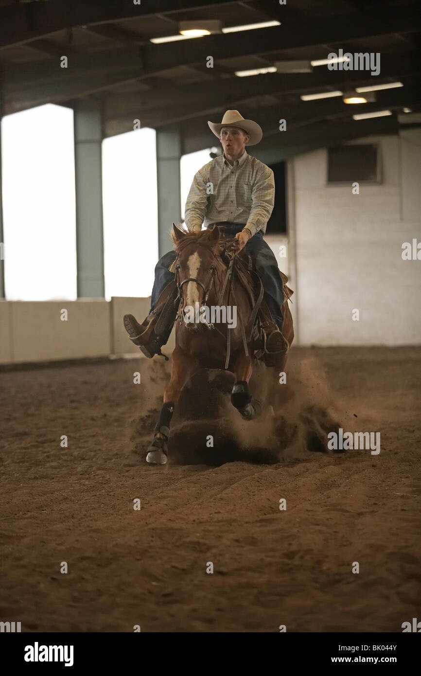 Western riding Reining slide Horse Greek farm, UK Stock Photo - Alamy