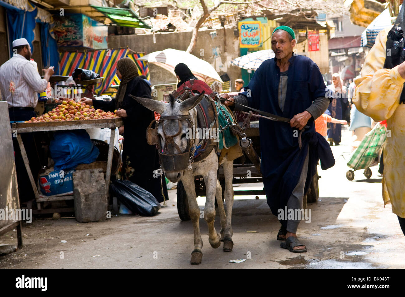 Middle east donkey cart hi-res stock photography and images - Alamy