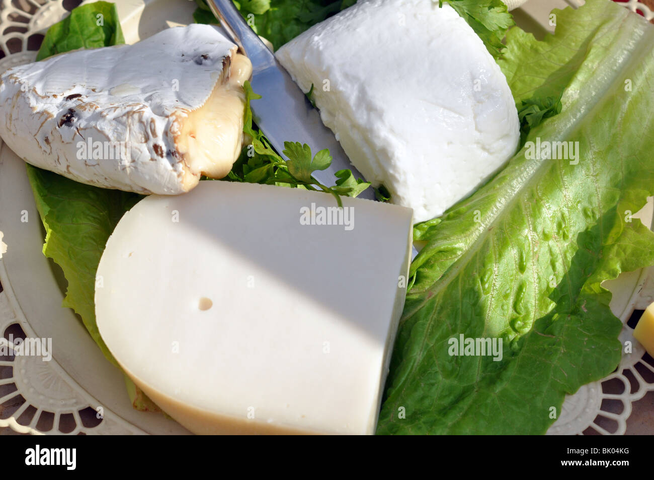 Israeli Beakfast assortment of Goat milk cheeses Stock Photo - Alamy