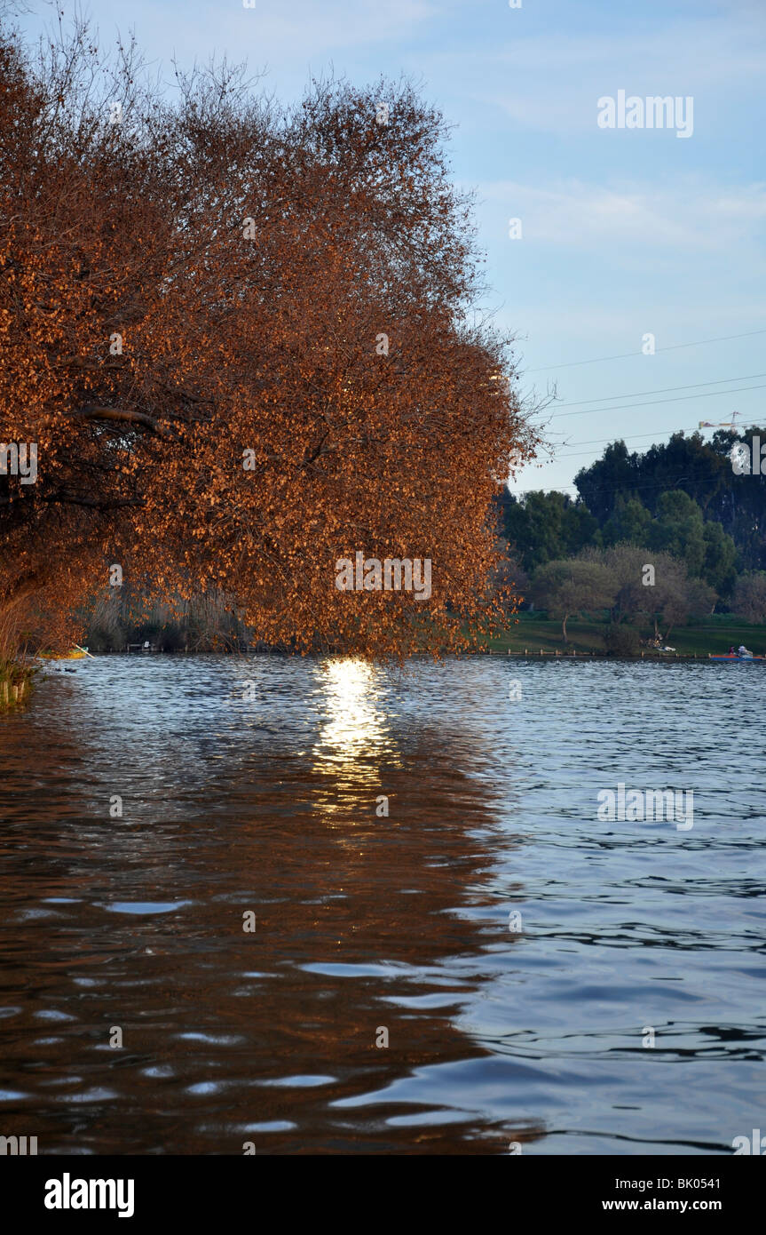 Israel, Tel Aviv, Yarkon River and park.The man made lake Stock Photo ...