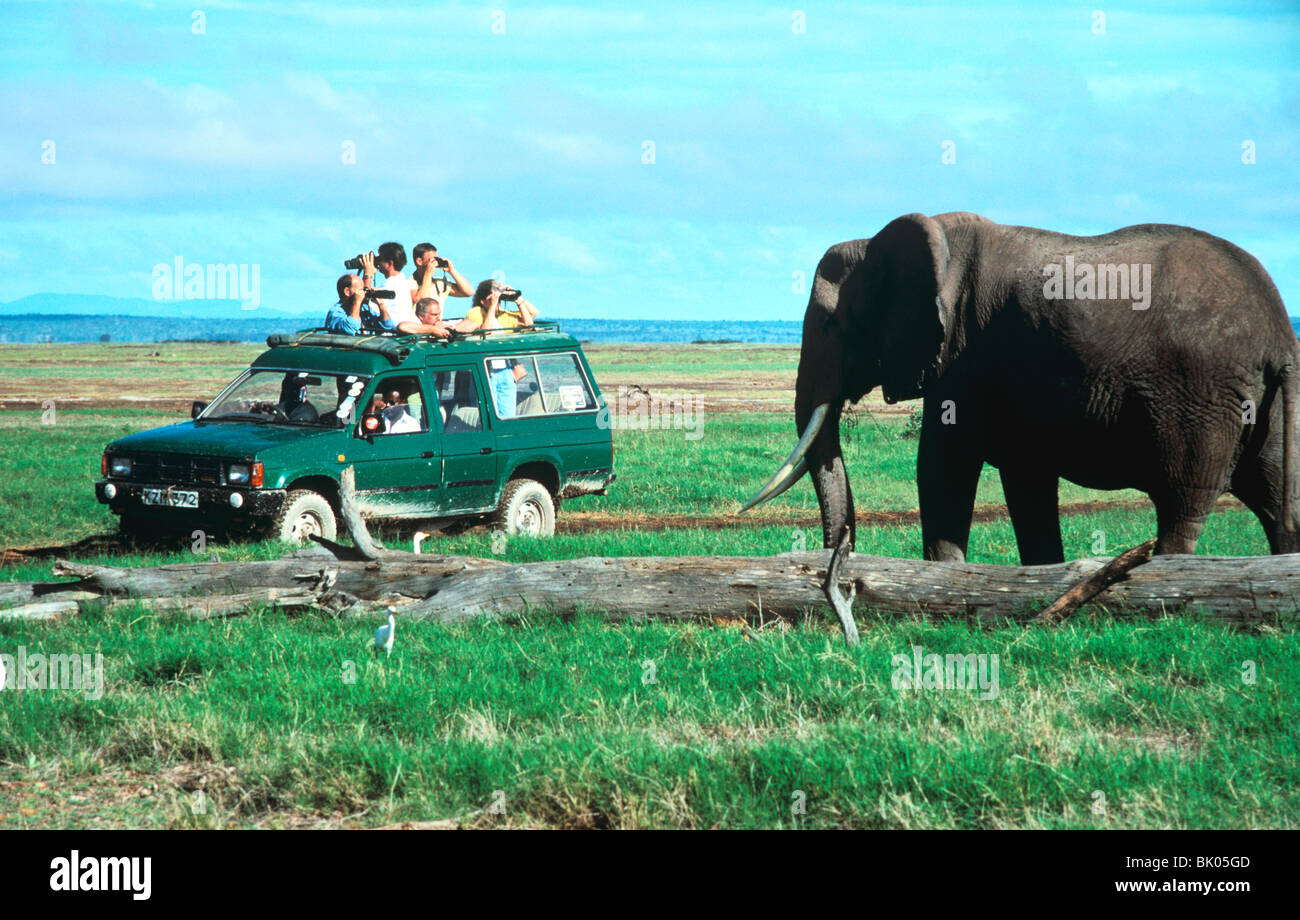 Elephant and safari van, Kenya Stock Photo - Alamy