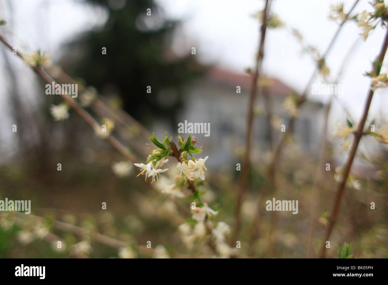 Bloomington west hi-res stock photography and images - Alamy