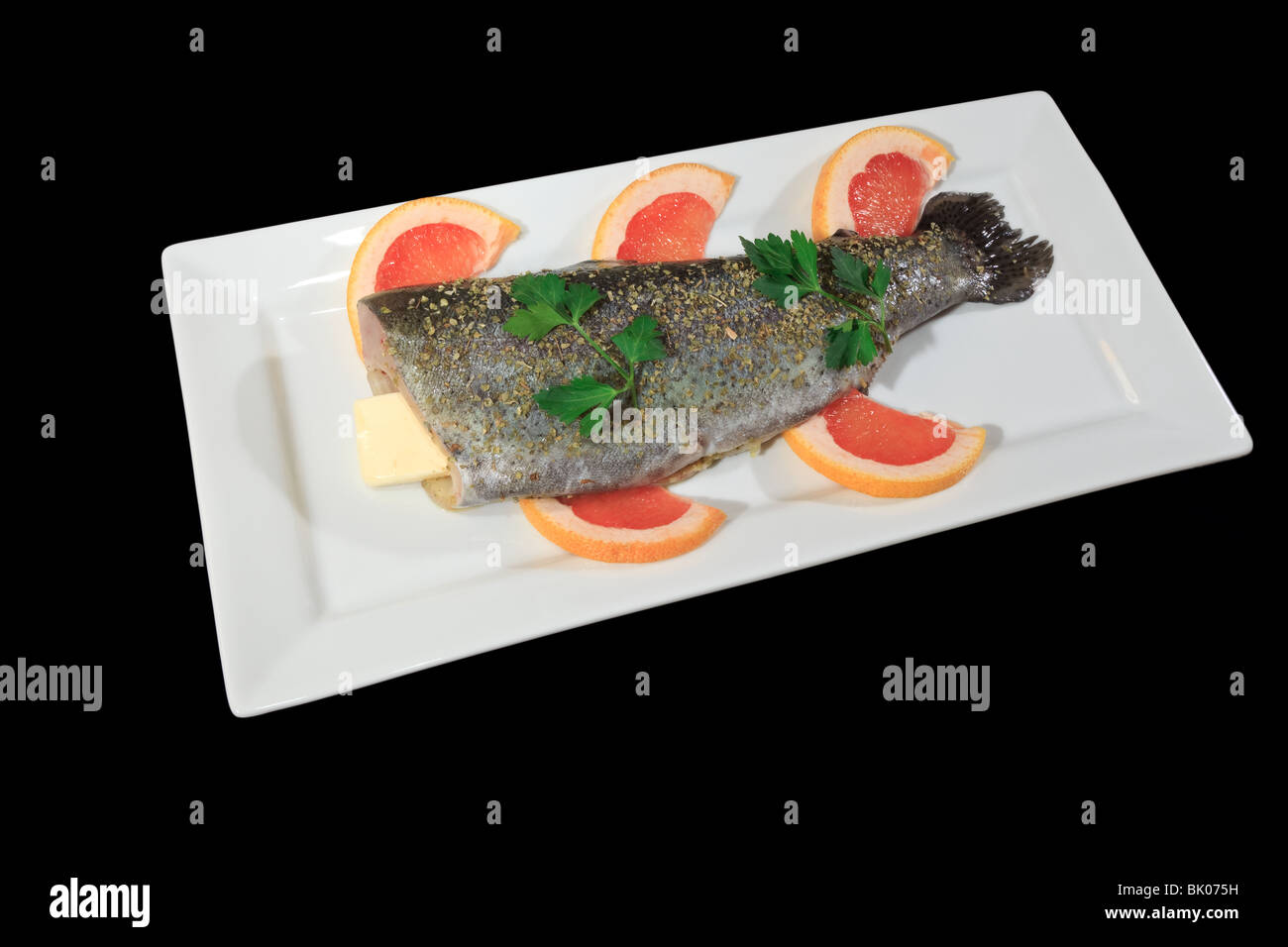 Isolated stuffed trout fish hi-res stock photography and images - Alamy