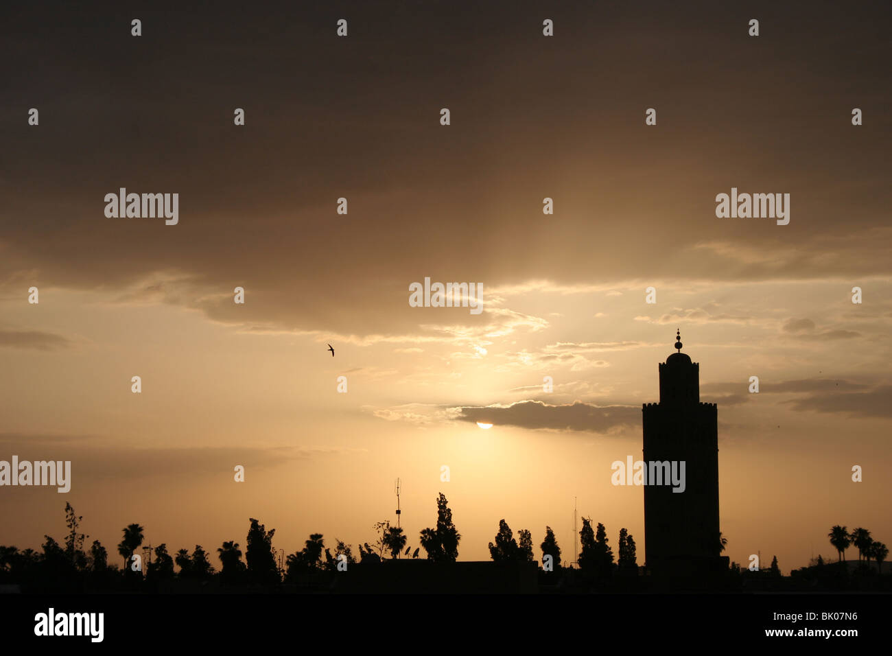 The main mosque in marrakech against a maroccan sunset Stock Photo - Alamy