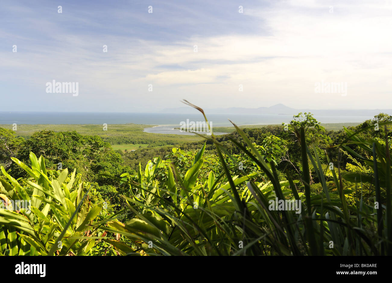 View from Alexandra Range lookout towards the Daintree River and ...