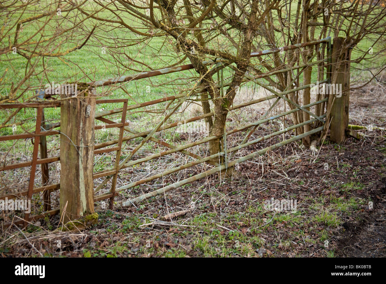 Old metal five bar farm gate, Hampshire, England Stock Photo - Alamy