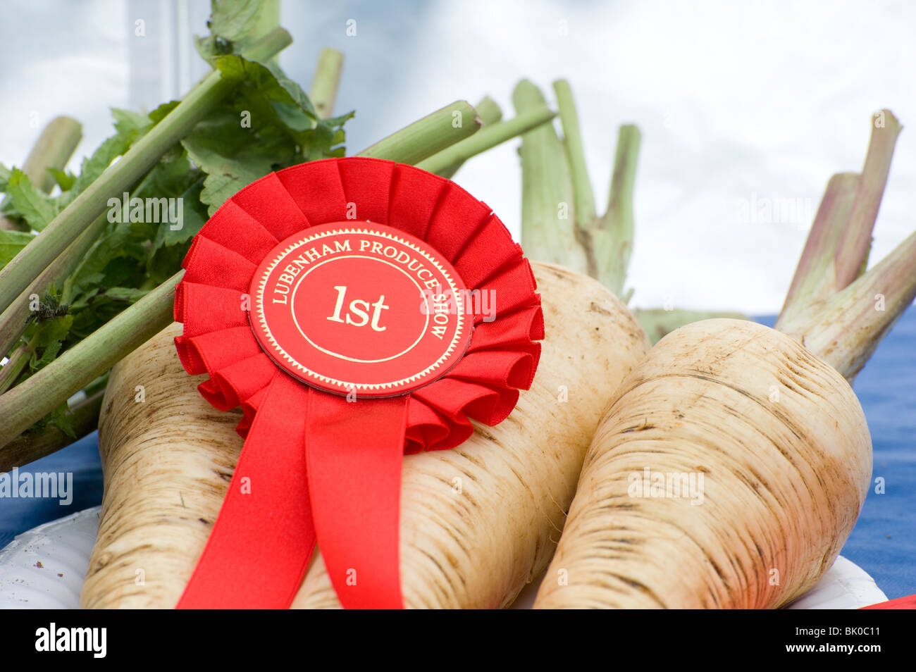 First prize rosette on some prize winning parsnips in a village show in ...