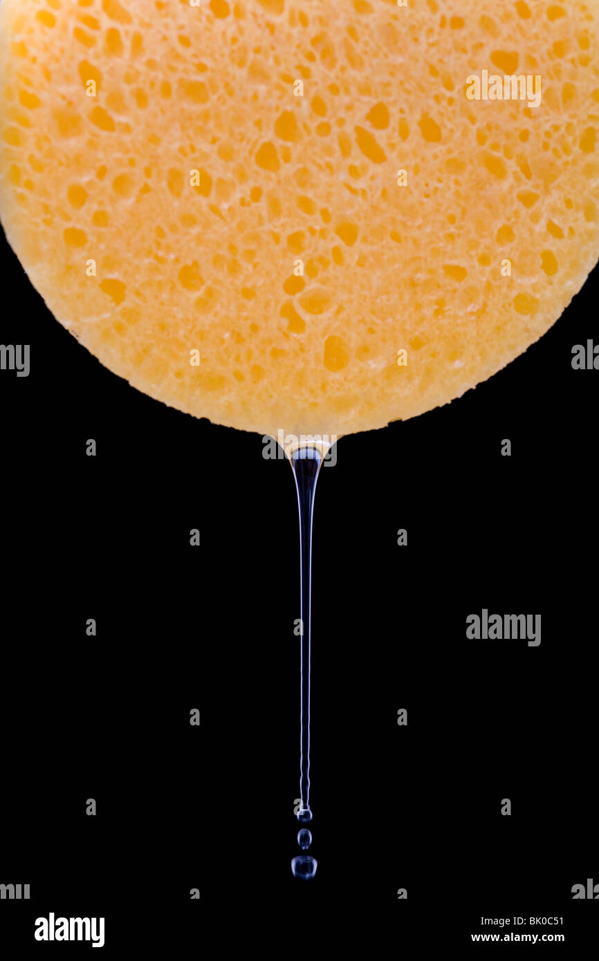 Sponge Absorb Water High Resolution Stock Photography and Images - Alamy