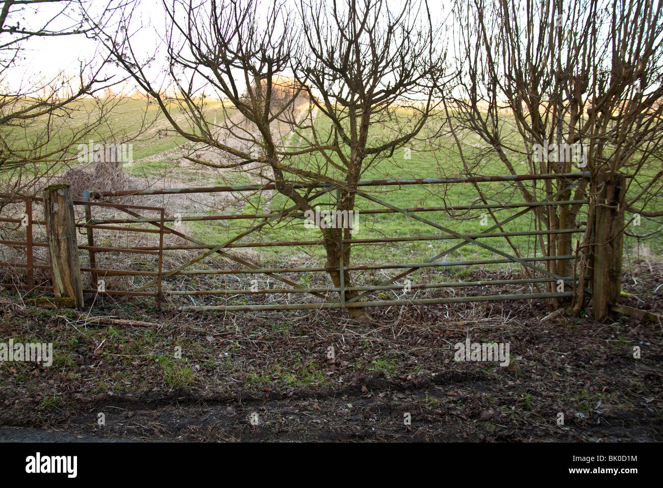 Old five bar metal gate hi-res stock photography and images - Alamy