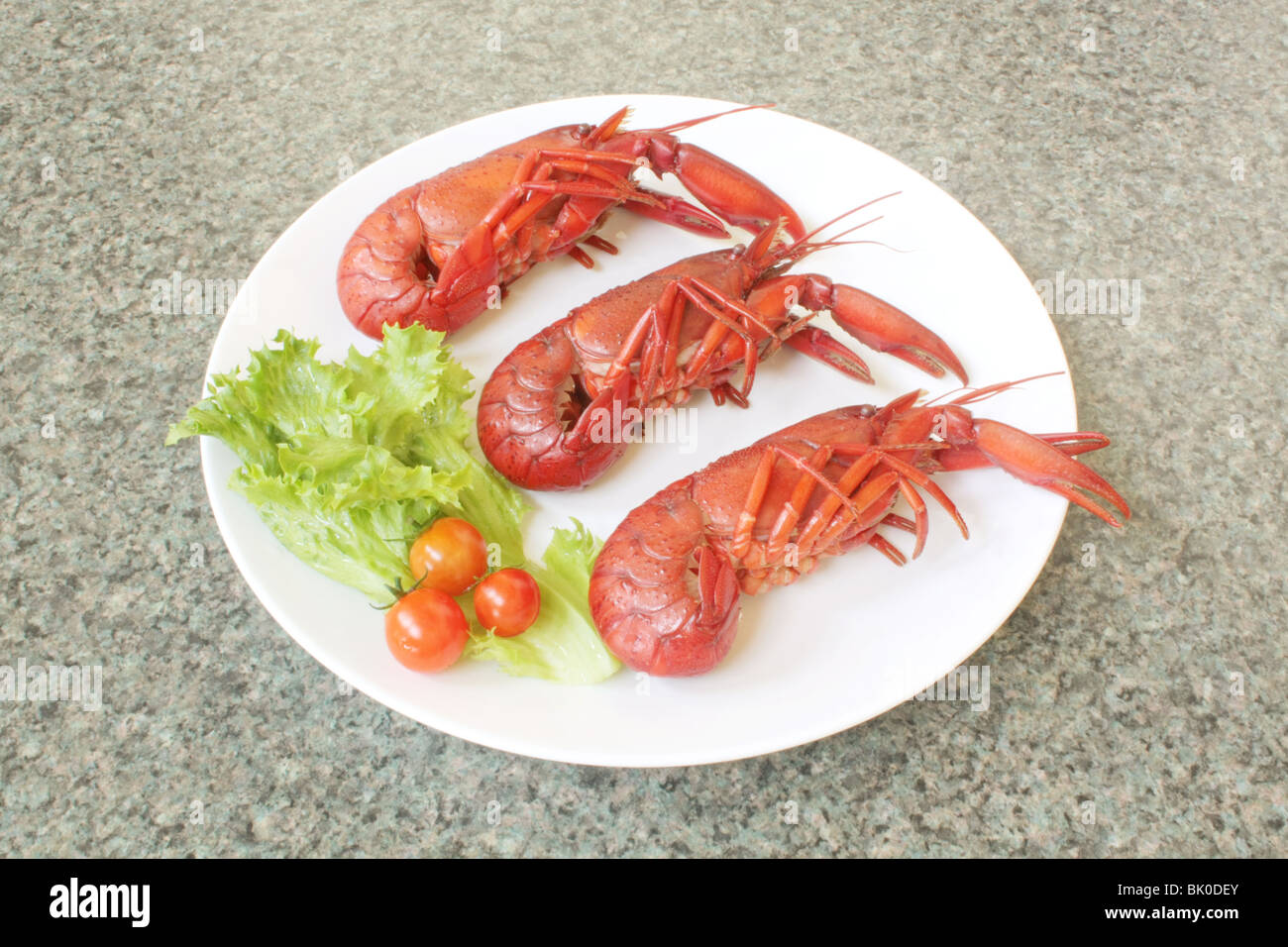 Sea lettuce australia hi-res stock photography and images - Alamy
