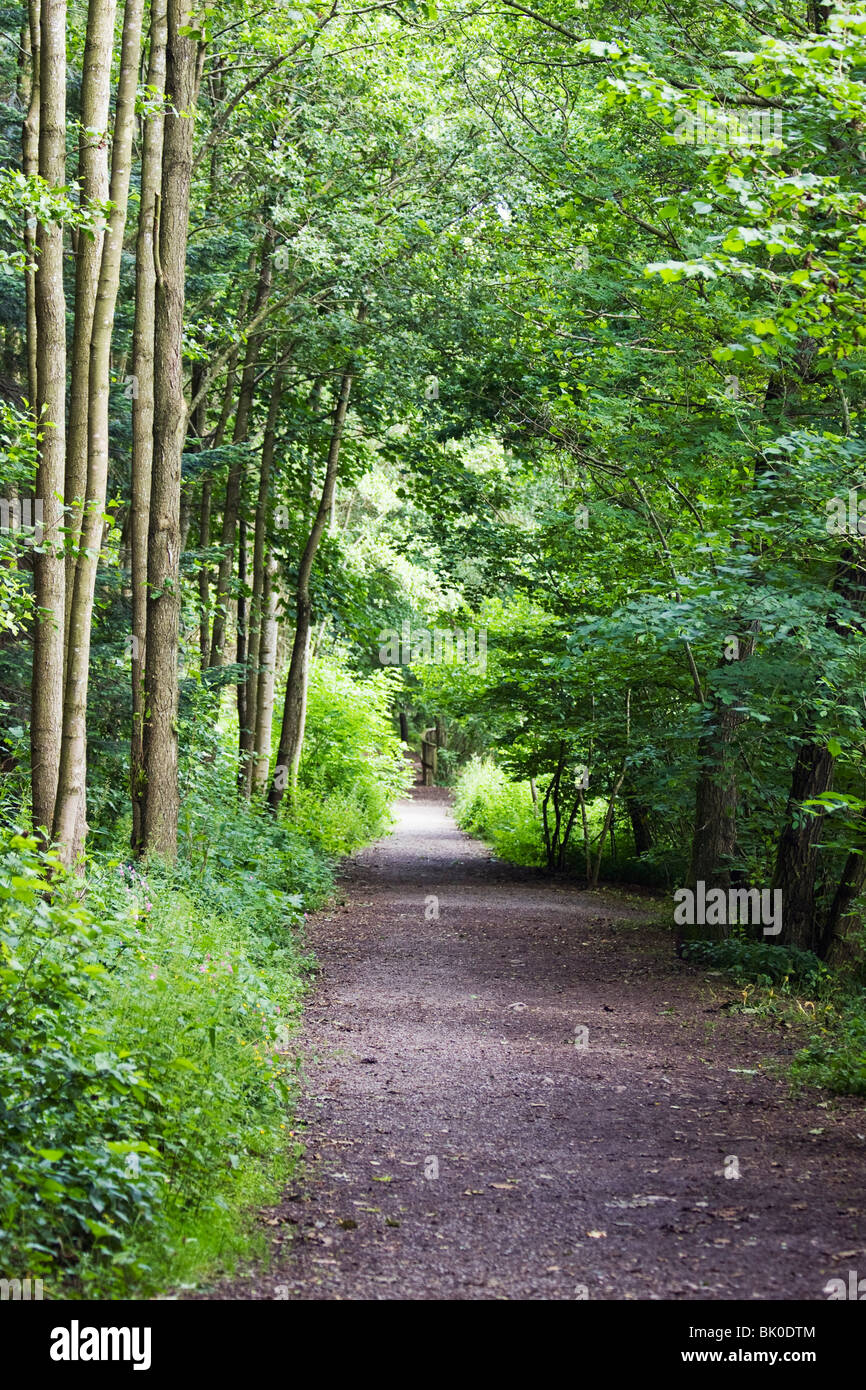 A peaceful walk along a woodland footpath Stock Photo - Alamy