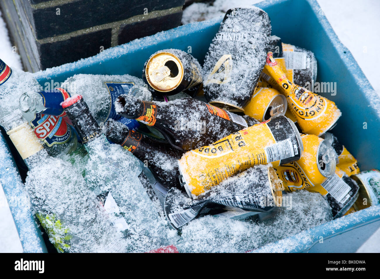 Beer cans in recycling bin hi-res stock photography and images - Alamy
