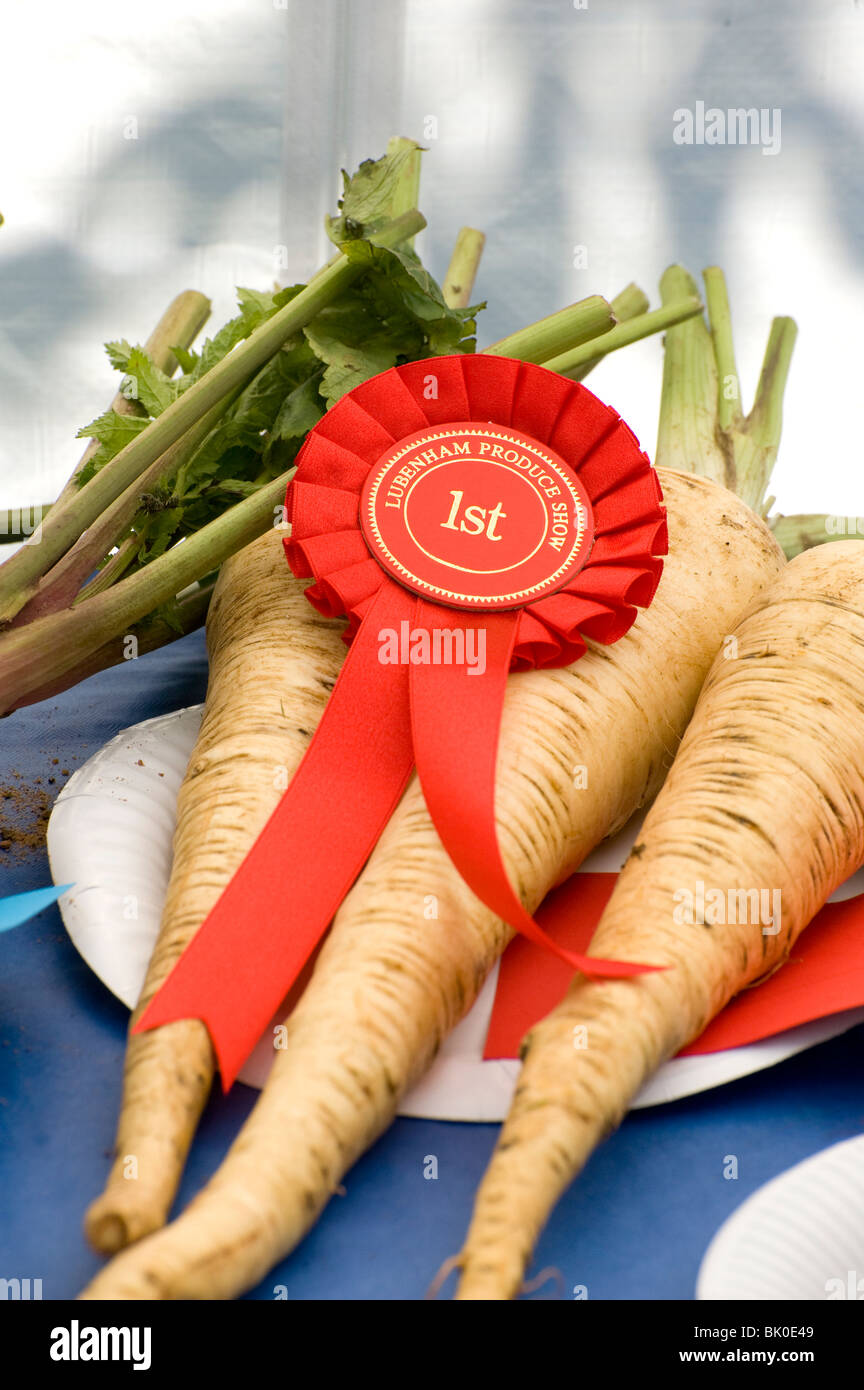 First prize rosette on some prize winning parsnips in a village show in ...